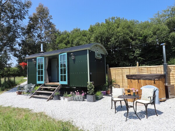 Two Moors Shepherds Hut - Dartmoor Forest