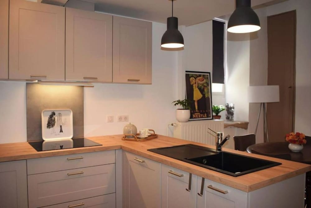 Appartement Avec Accès Piscine Et Jardin Dans Hôtel Particulier - Nérac