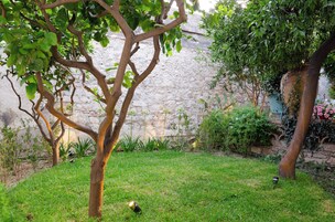 Um jardim com muro de pedra, diversas plantas e uma árvore com escultura de metal na grama.