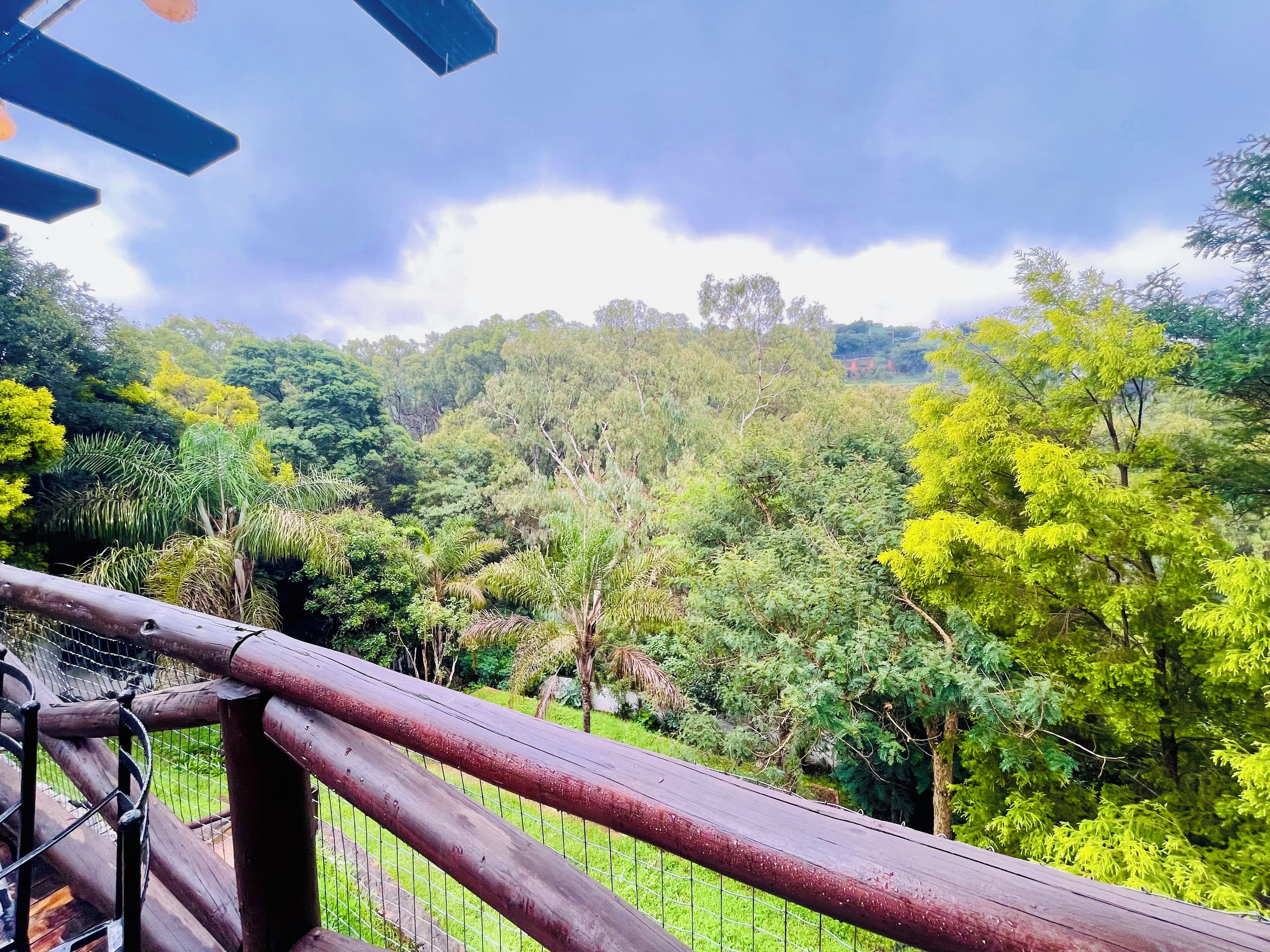 Vista de uma varanda com guarda-corpo de madeira, com vista para uma floresta verdejante e uma colina ao longe.