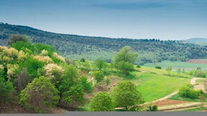 Paisagem rural com um edifício histórico de pedra, rodeado por vegetação exuberante e campos.