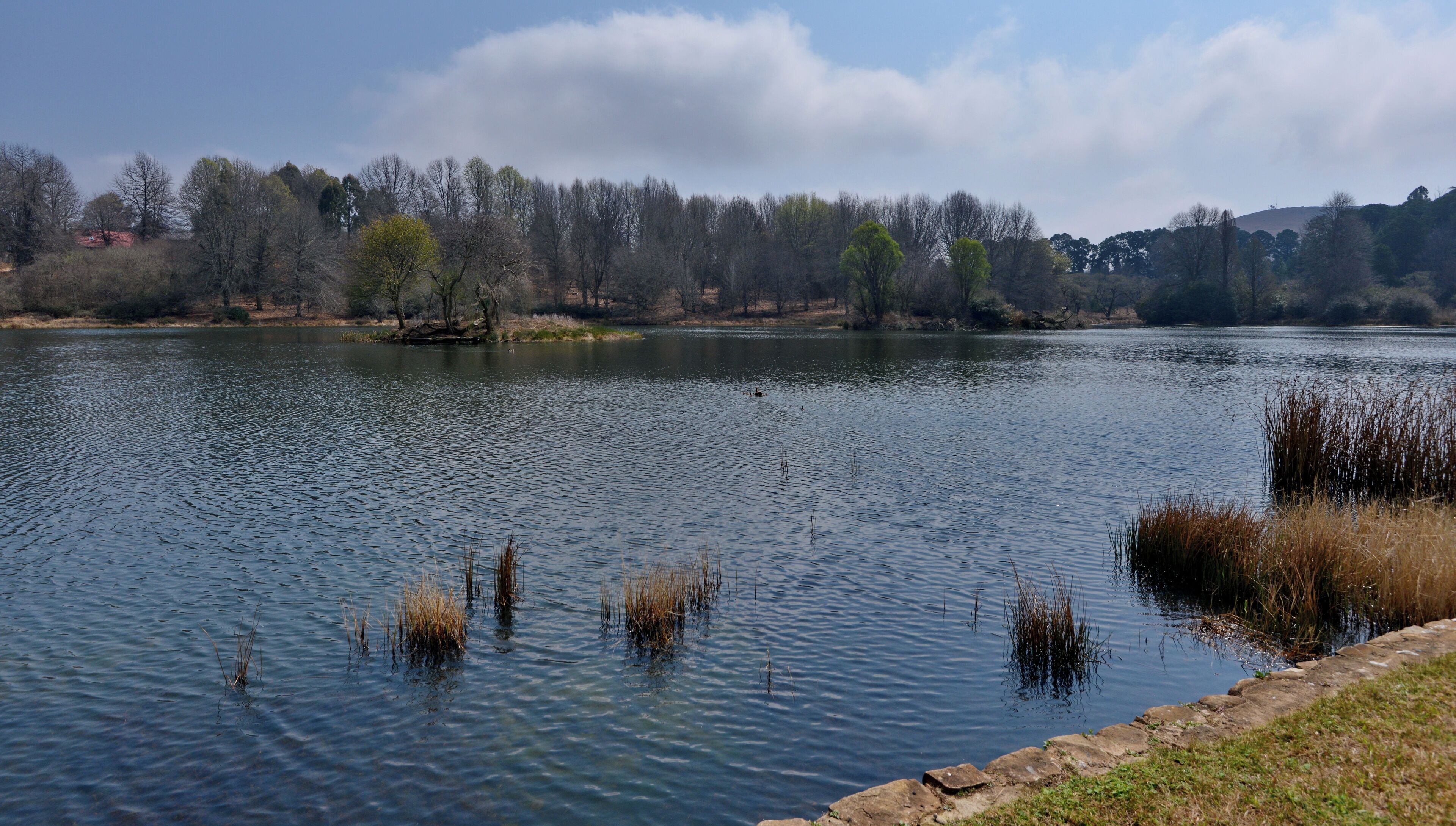 Um lago calmo com um aterro de pedra e vegetação rasteira.