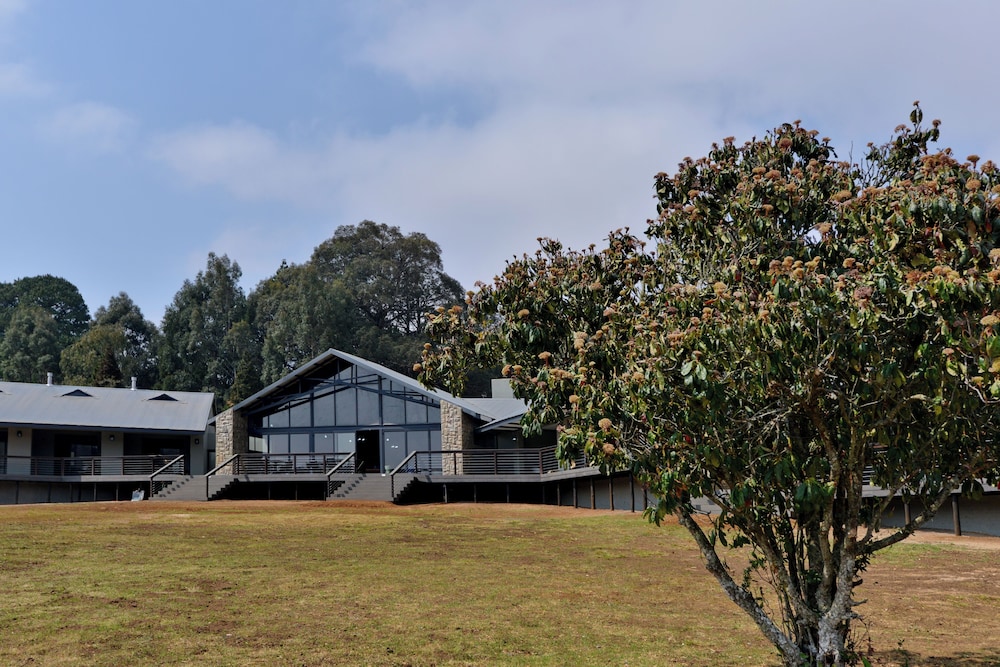 Dunkeld East - Dullstroom
