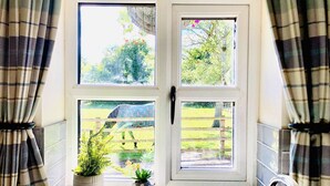 Janela com vista para um jardim e uma cerca.