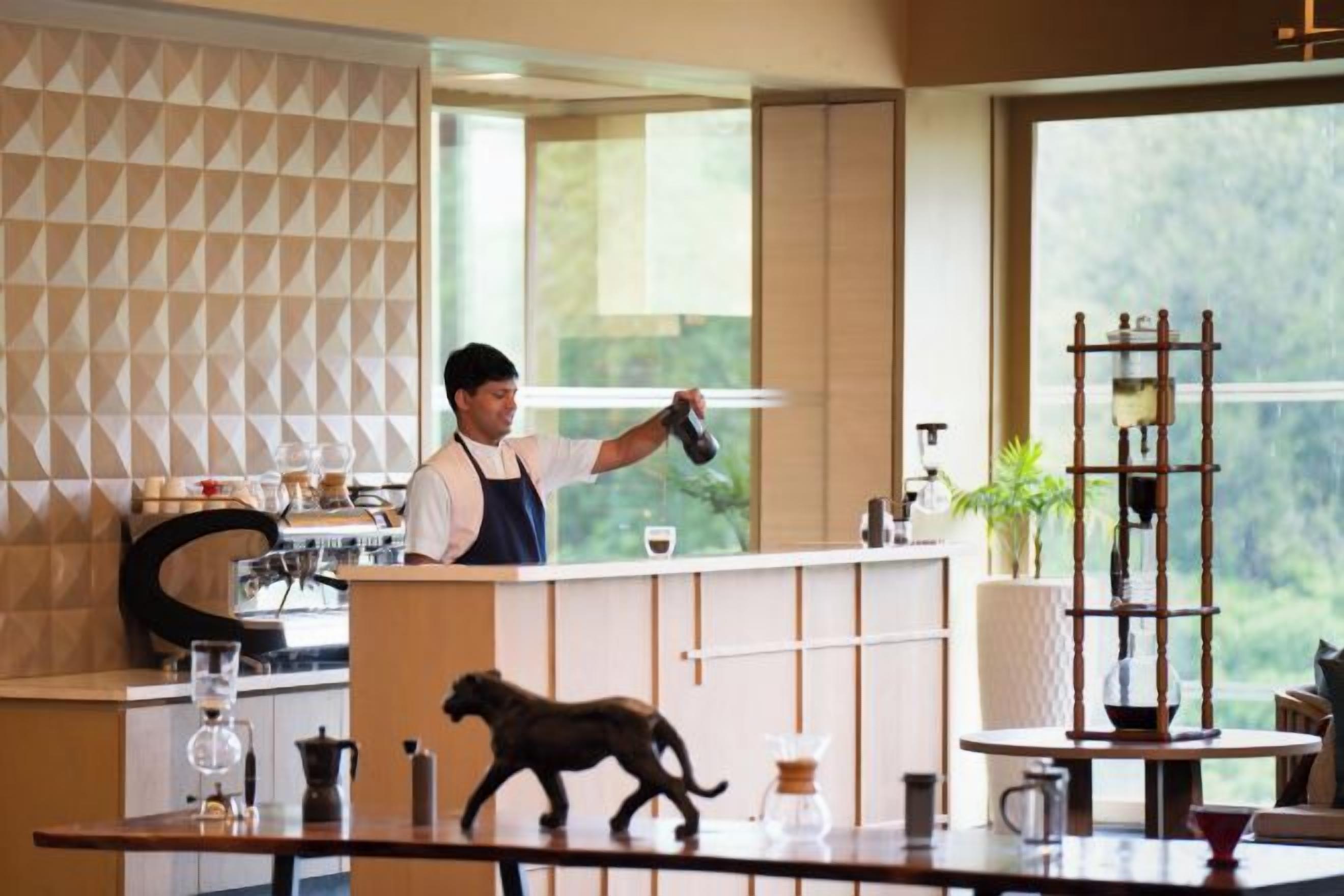 Uma cozinha com uma pessoa segurando um sapato, um cão no balcão e diversos utensílios de cozinha.