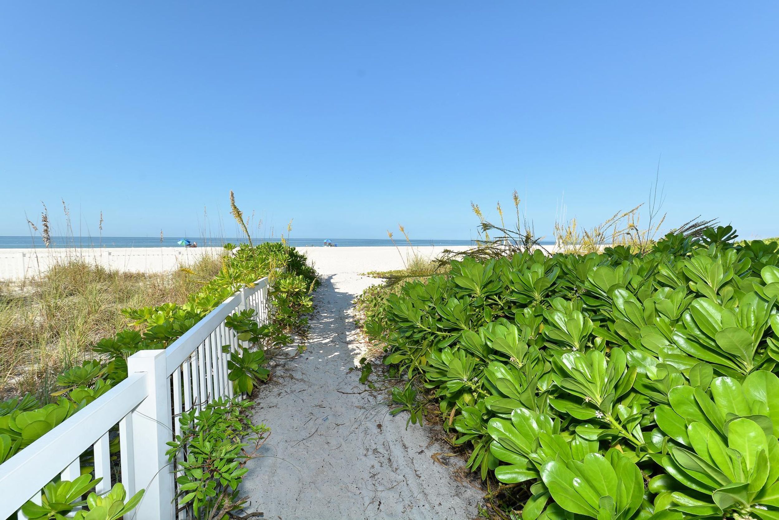 Um caminho que leva a uma praia, com um cercado branco e vegetação exuberante.