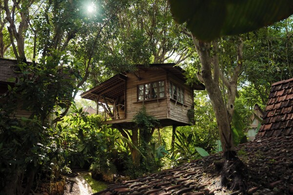 Roots Tree House - Bali