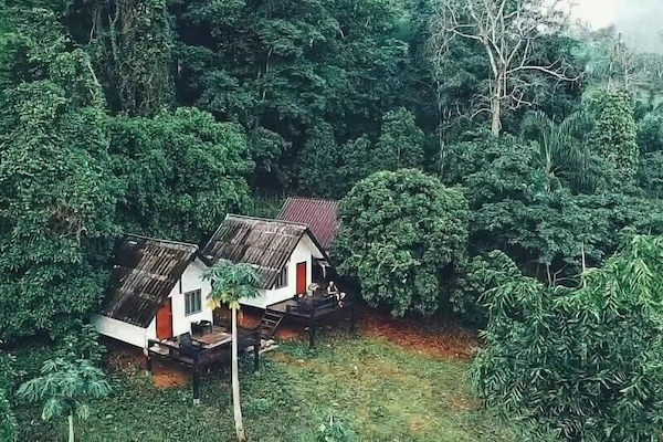 Bungalow Standard, 2 camas individuais, vista para a colina | 1 quarto, secretária, Wi-fi grátis