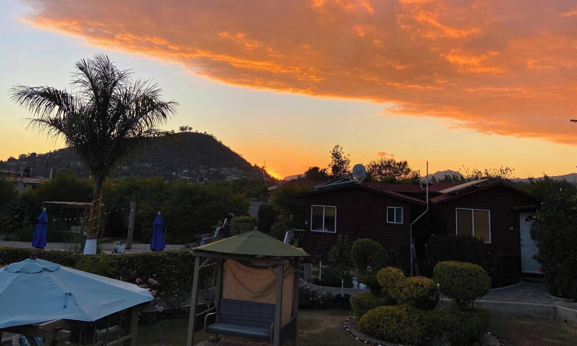 Um bairro residencial com casas, uma palmeira e céu claro.