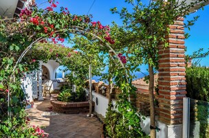 La Paloma | Terraço/pátio interior