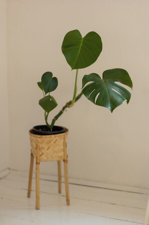 Estúdio, cozinha | Sala