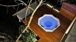 Piscina no terraço com deck de madeira e plantas ao redor.