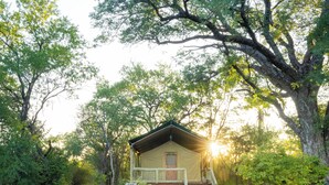 Uma cabana térrea com varanda, cercada por árvores e uma trilha de terra.