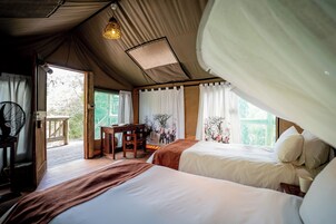 Barraca | 1 quarto, roupas de cama premium, cofres nos quartos, Wi-Fi de cortesia