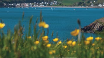 Uma vila costeira com vista clara para o mar, veleiros e um primeiro plano com grama e flores amarelas.