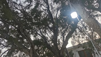 Fachada do alojamento
