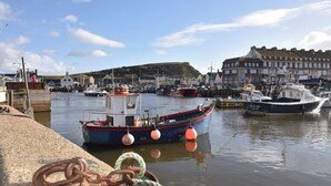 Um porto com barcos atracados, um edifício com várias janelas e uma colina ao fundo.