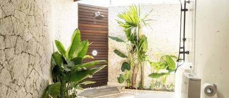 Casa de banho moderna com chuveiro, sanita e plantas.