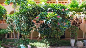 Jardim