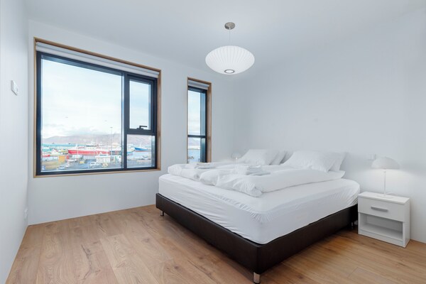Blue Viking Apartments Reykjavik - Reykjavik