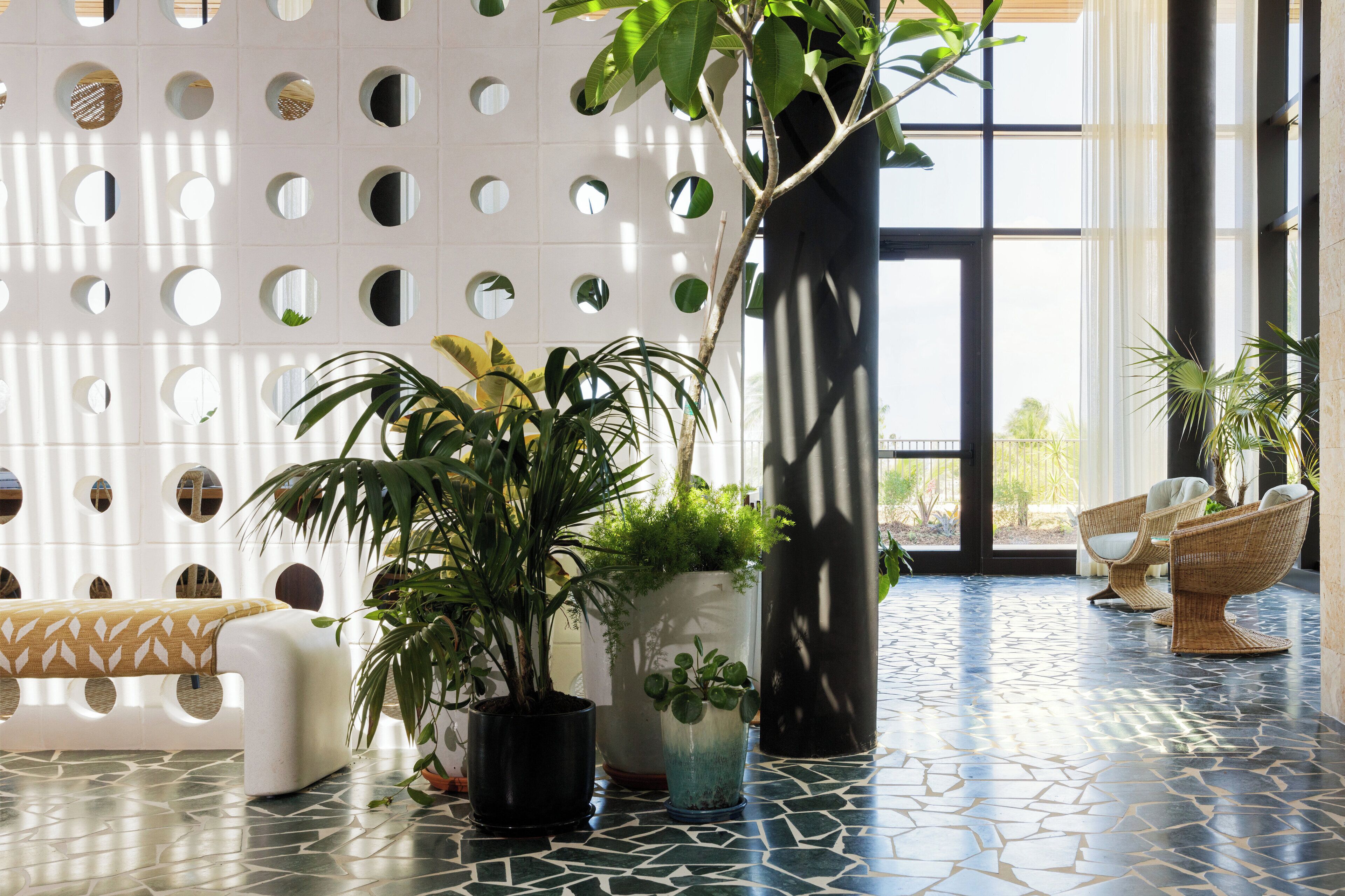 Um interior moderno com um banco estampado, plantas em vasos e cadeiras de vime.