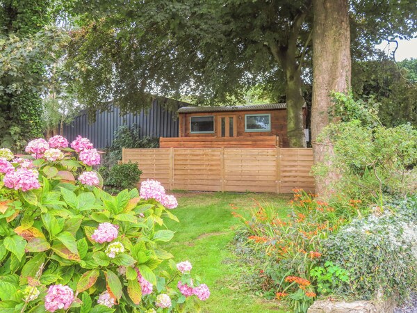 프론 고흐 셰퍼드의 헛 - 앵글시