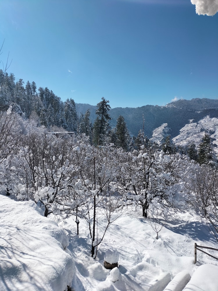 80 Year Old Vintage Property....located Between Apple Orchards And Pine Trees - Himachal Pradesh