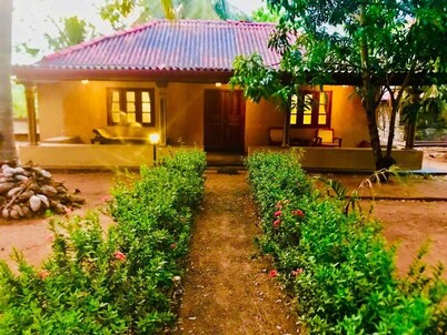 Yala Big Game Drive with Heina Eco Team 