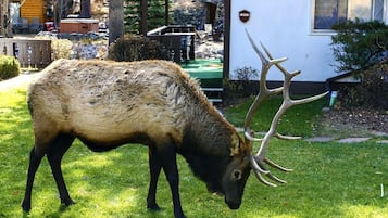 Estúdio | Pormenores do exterior