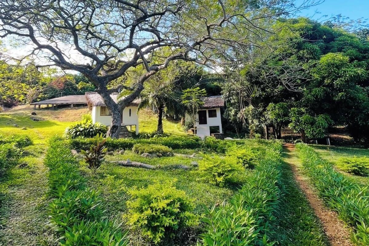 Paisagem rural com uma grande árvore, dois edifícios pequenos e brancos, e um caminho de jardim bem cuidado.