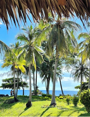 Vista do alojamento