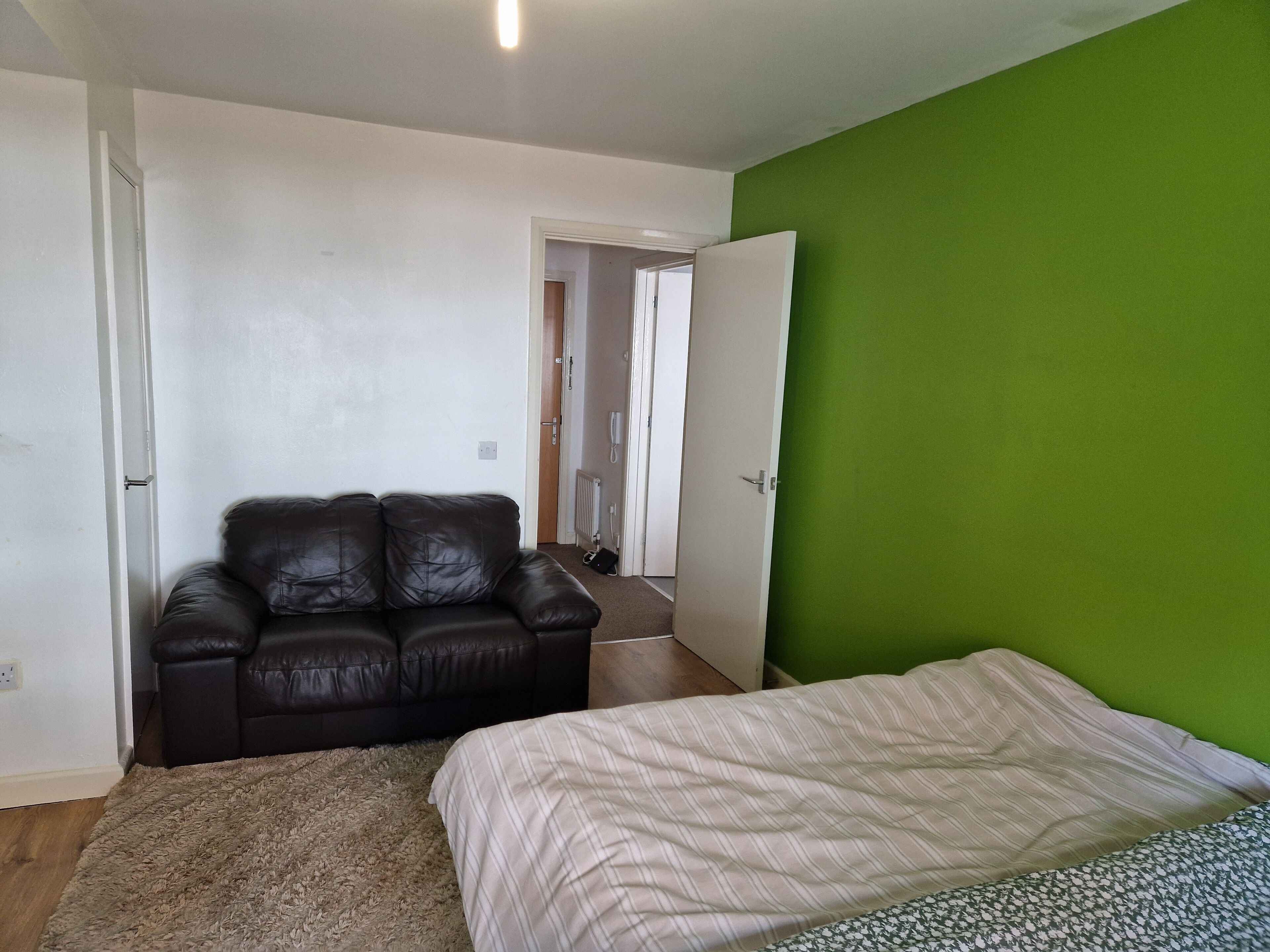 Quarto com uma cama, um sofá de couro marrom, uma parede verde e uma porta branca.
