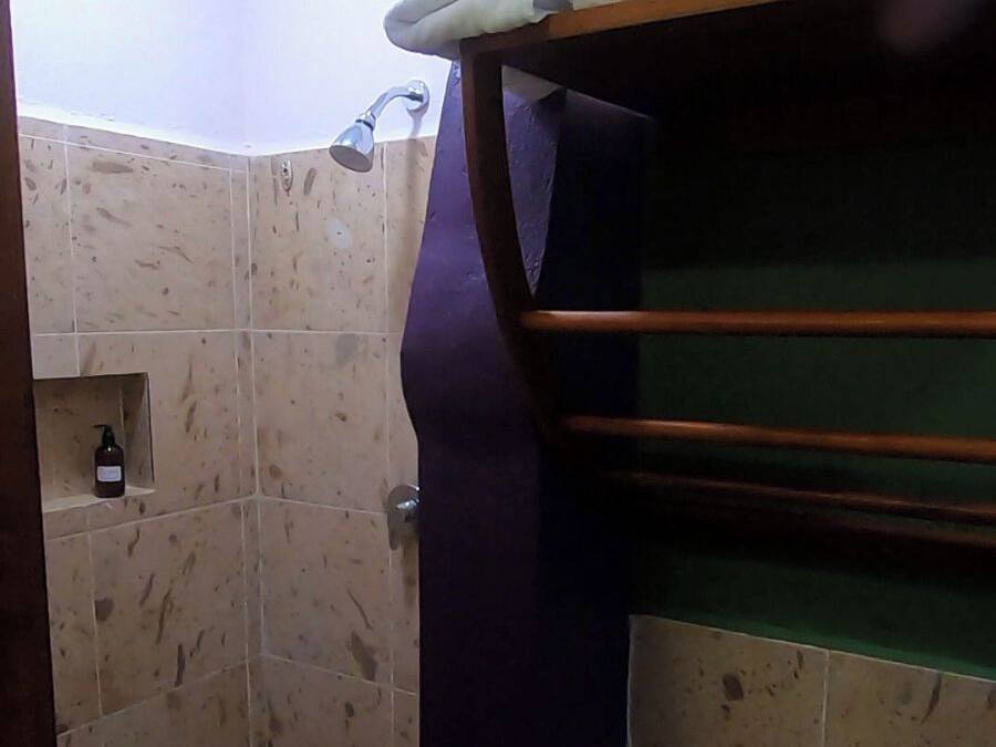 Casa de banho com chuveiro, porta-toalhas e um armário com uma garrafa.
