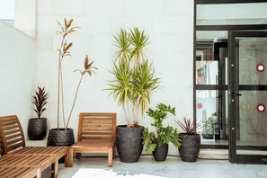 Entrada (vista interior)