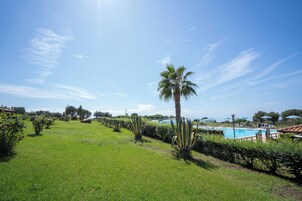 Uma área gramada com piscina e palmeiras.