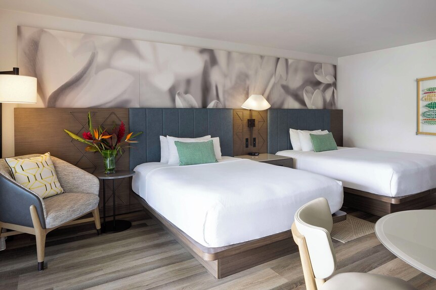 Recreational Vacation Trip! 3 Contemporary Rooms, Close To Prince Kuhio Park! - Kapaa, HI
