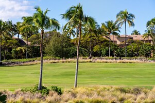 Apartamento em Condomínio Fechado, 2 quartos | Golfe