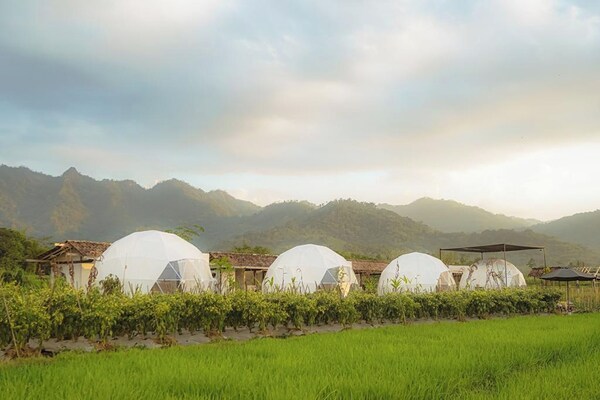 Borobudur Luxury Glamping - Borobudur