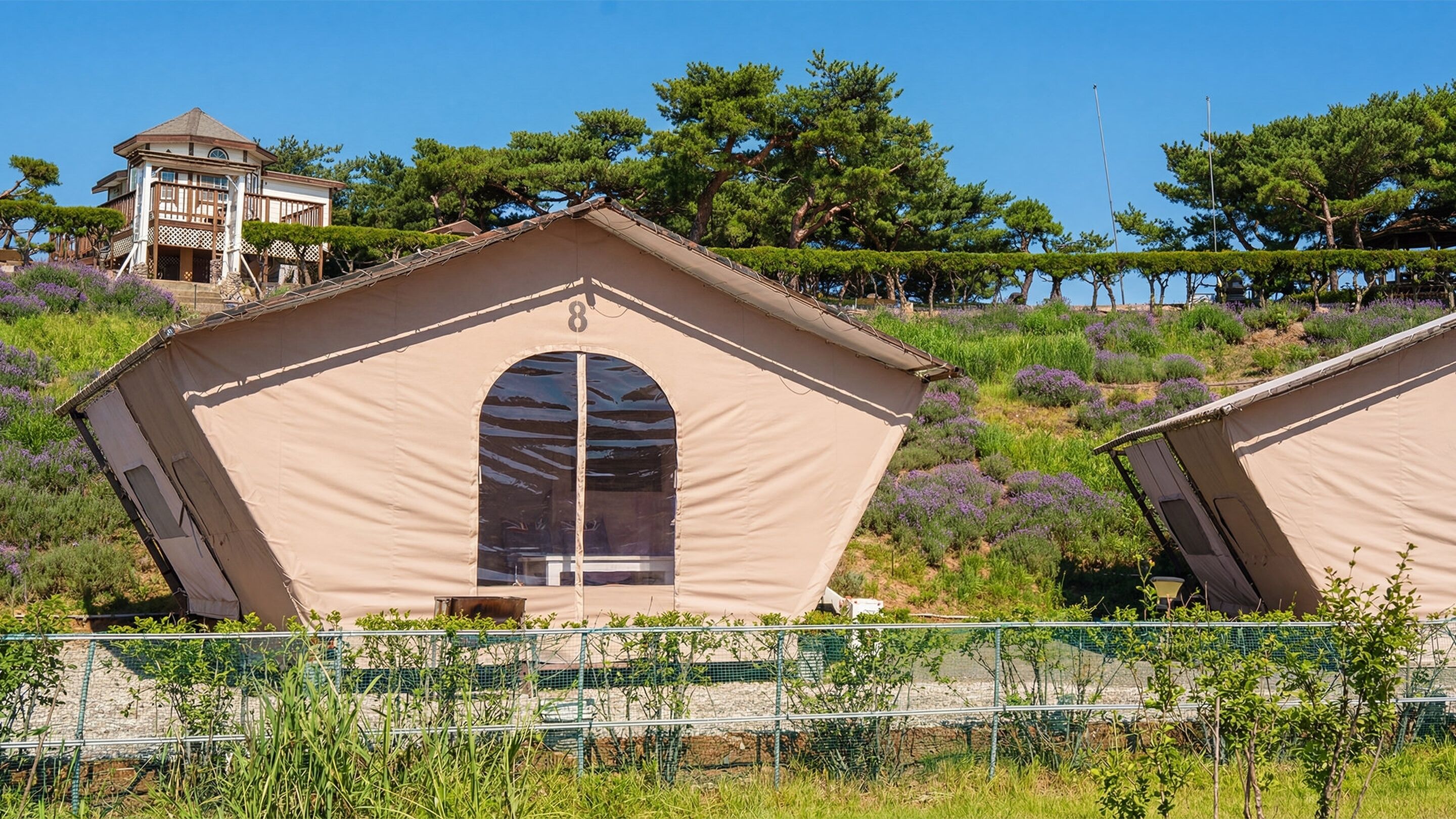 Quarto Básico, 1 quarto (Glamping 8) | Wi-fi grátis 