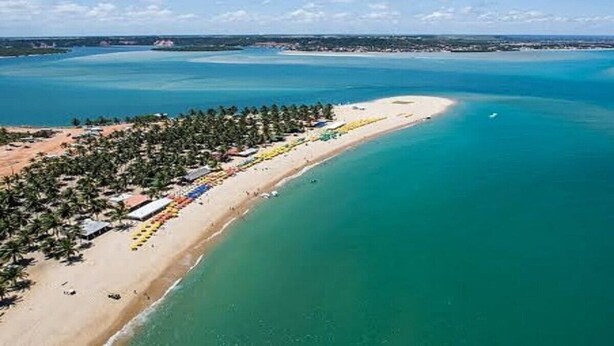 Vista aérea de uma praia com uma fileira de guarda-sóis coloridos e uma linha de árvores.