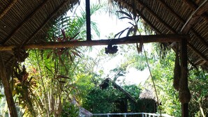 Área externa com assentos, teto de palha, piscina e vegetação exuberante.