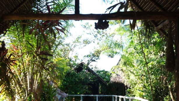 Um deck de madeira com telhado de palha, que dá acesso a uma área de piscina rodeada por vegetação exuberante.