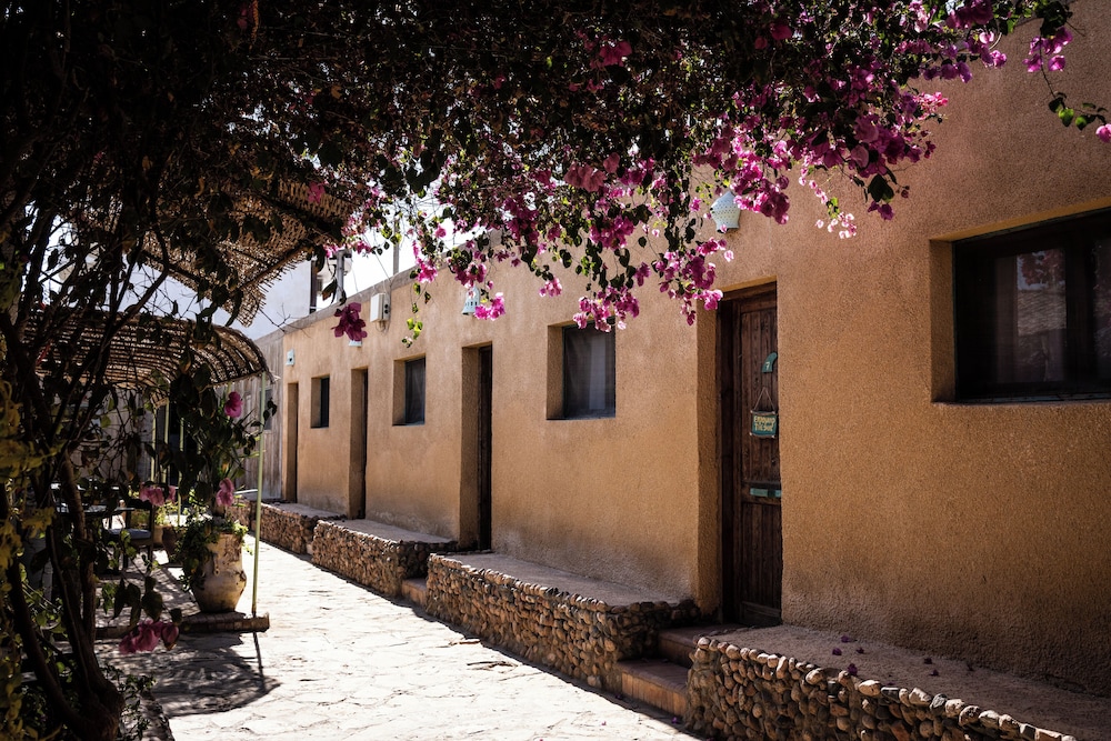 艾尔多拉多旅馆和餐厅 - 埃及