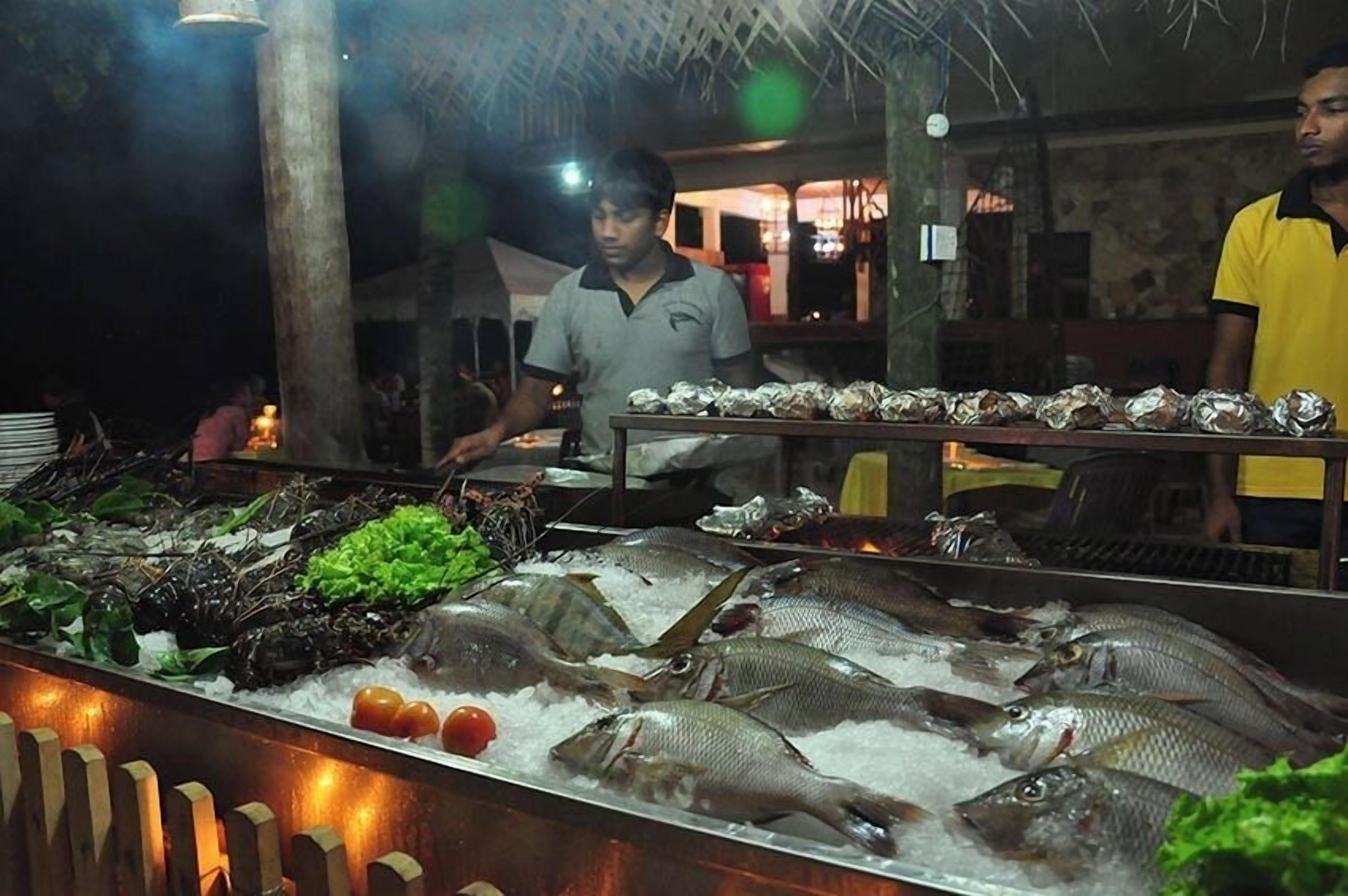 Exposição de frutos do mar com diversos peixes e mariscos.