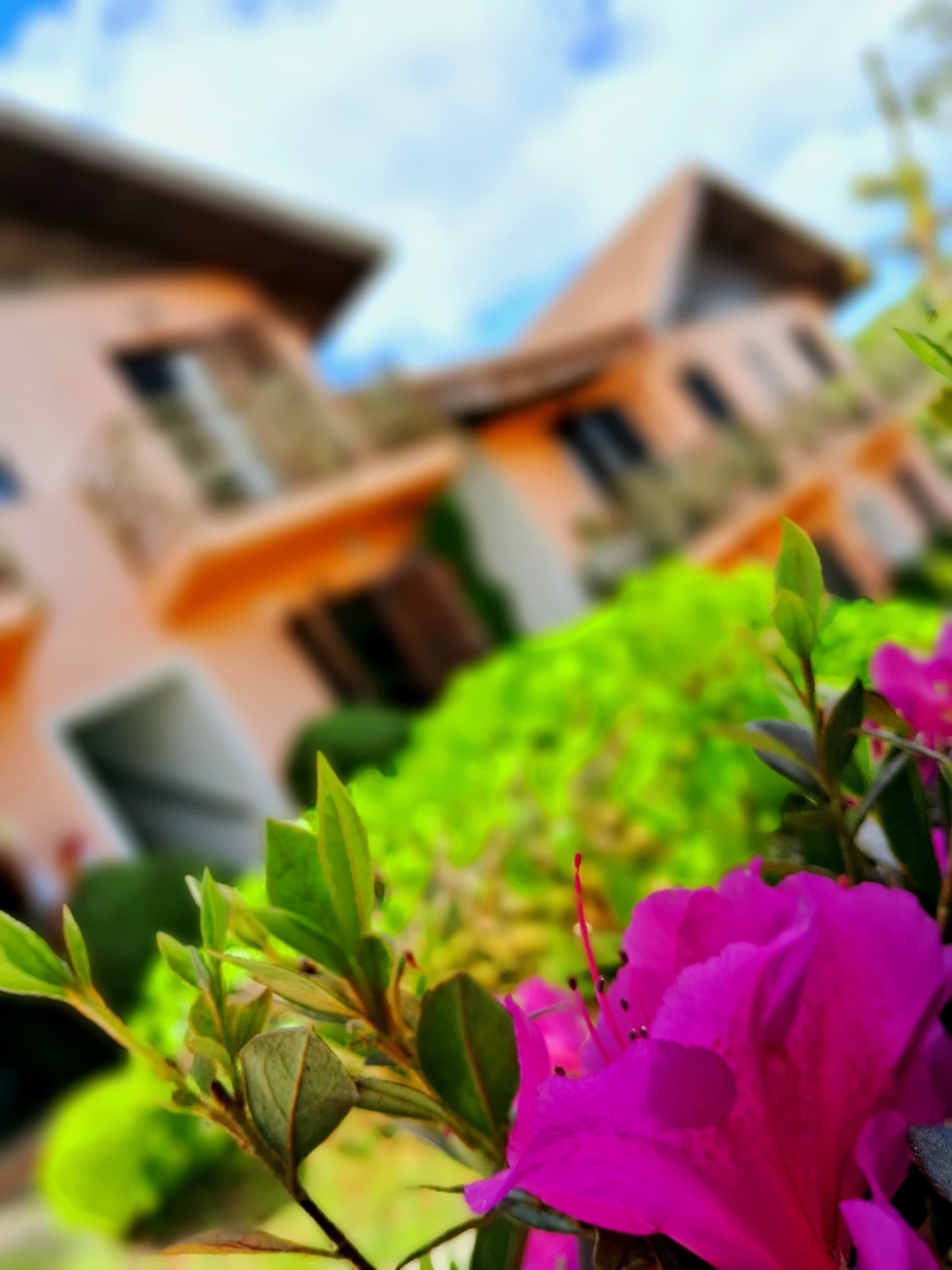 Terraço/pátio interior