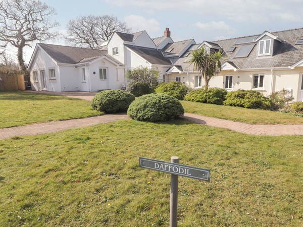 Daffodil Apartment - Carmarthenshire