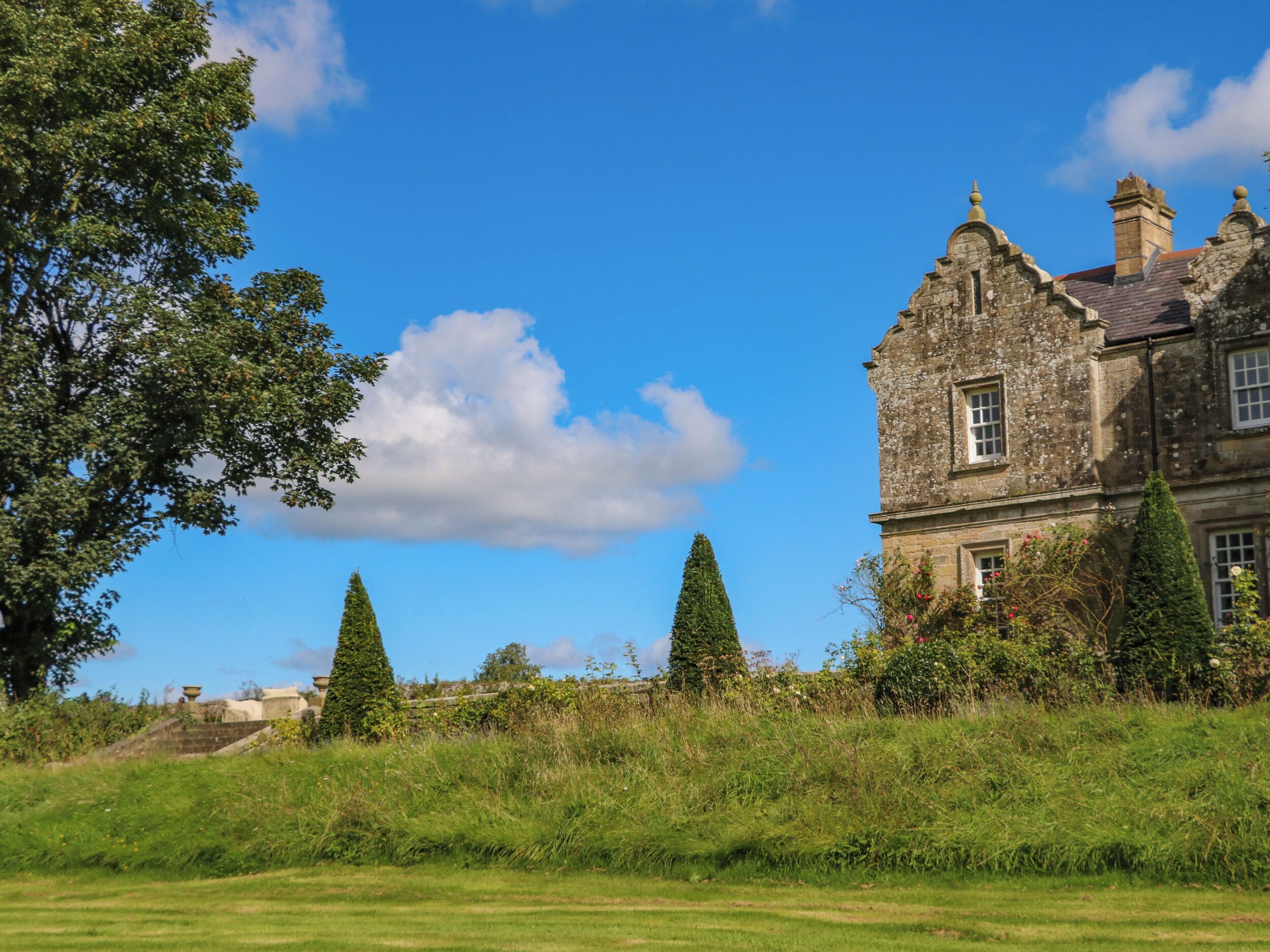 Área da propriedade