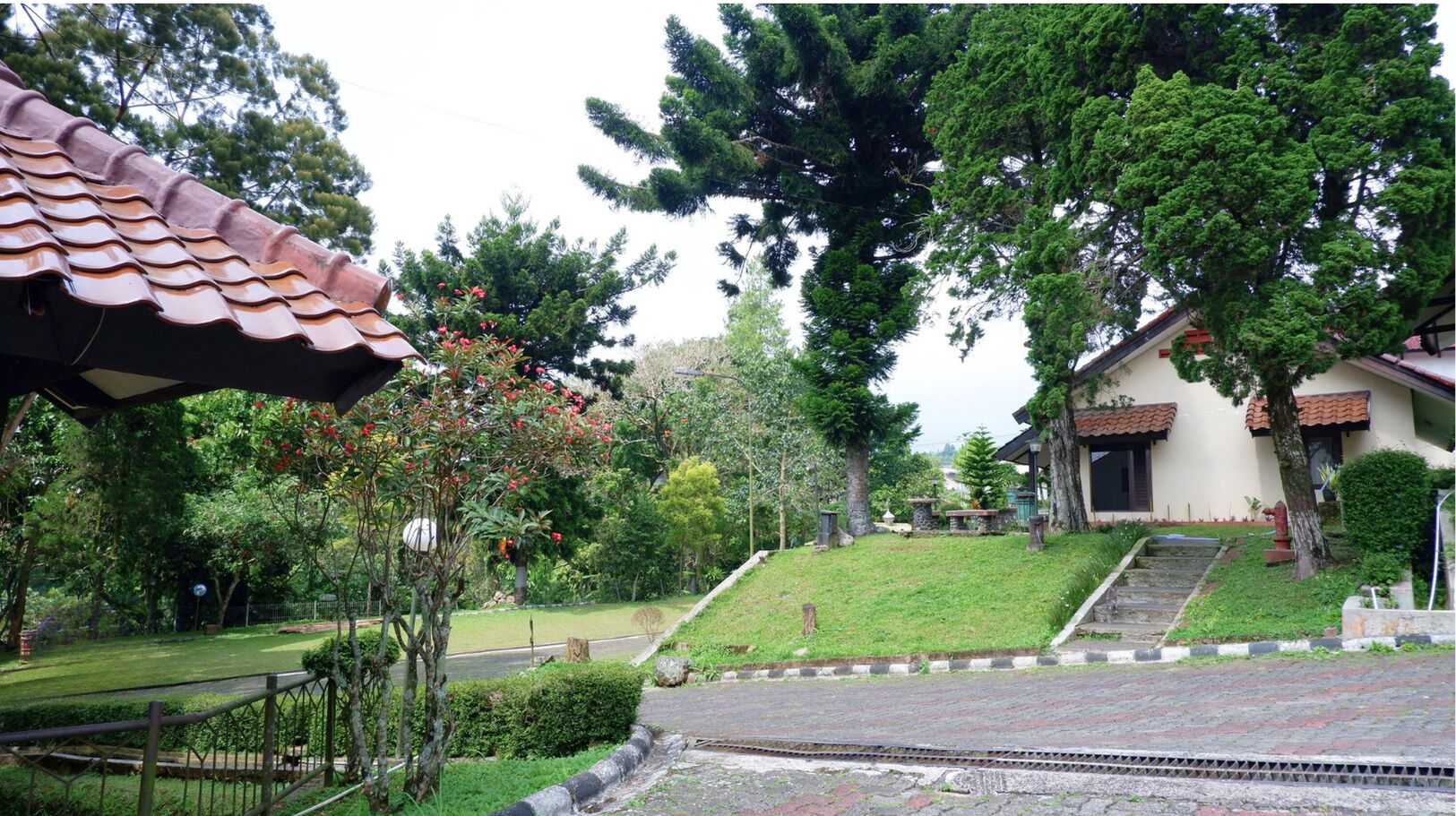 Uma área residencial com rua pavimentada, encosta gramada e casa com telhado de telhas.