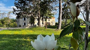 Um edifício com parede de pedra e área gramada com flores amarelas.