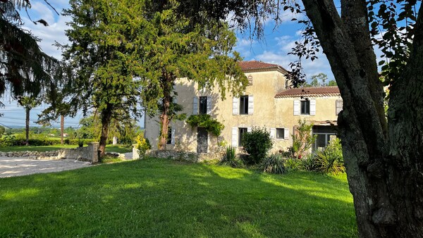 Bears N Breakfast - Condom